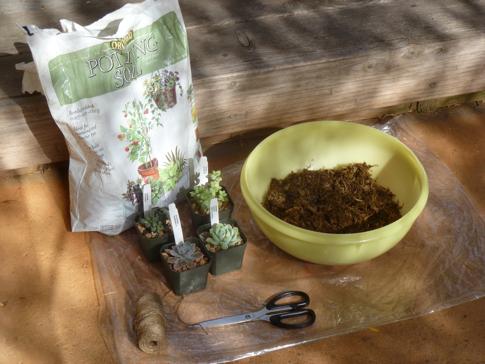 My Next Mess: Kokedame (Japanese String Garden)