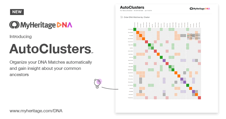 Genea-Musings: MyHeritage Adds Automatic Clustering of DNA Matches for Insights on Common Ancestors