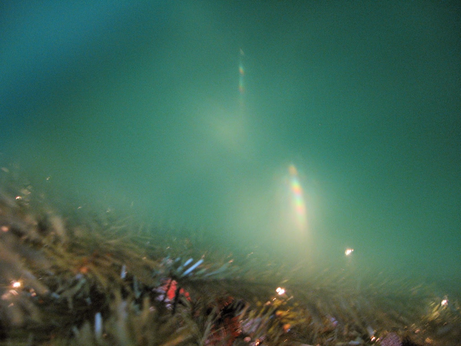 Almost Unschoolers: 30 Second Christmas Science - Viewing Christmas ...