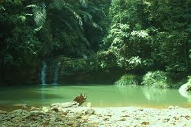 Brunei Share: Brunei Holidays : The Wasai Waterfalls