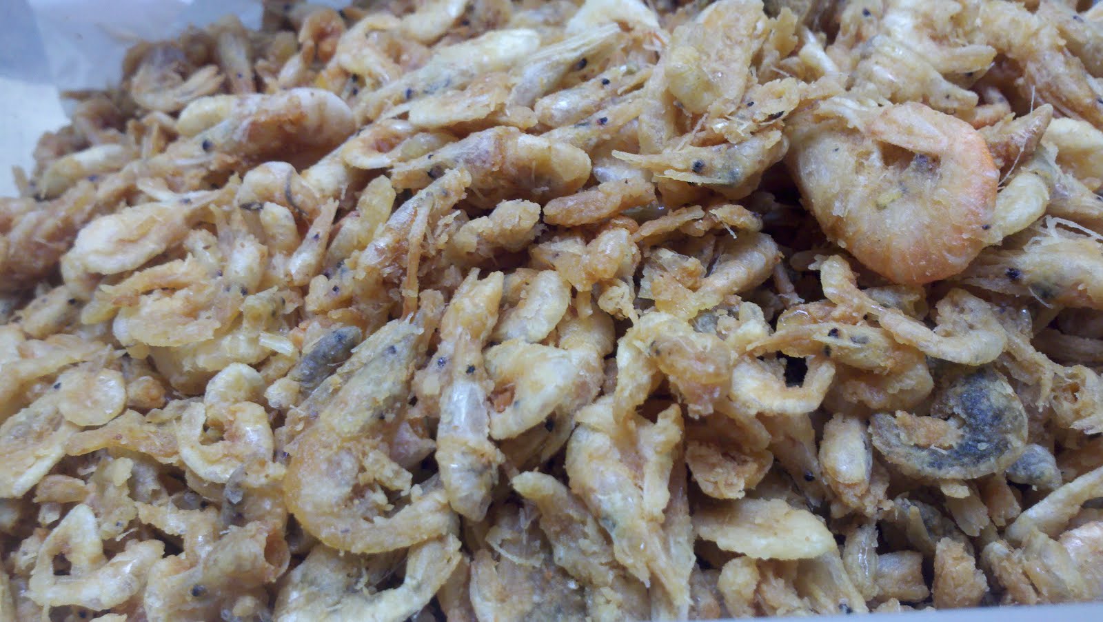 ceritamakarena: Udang Kali