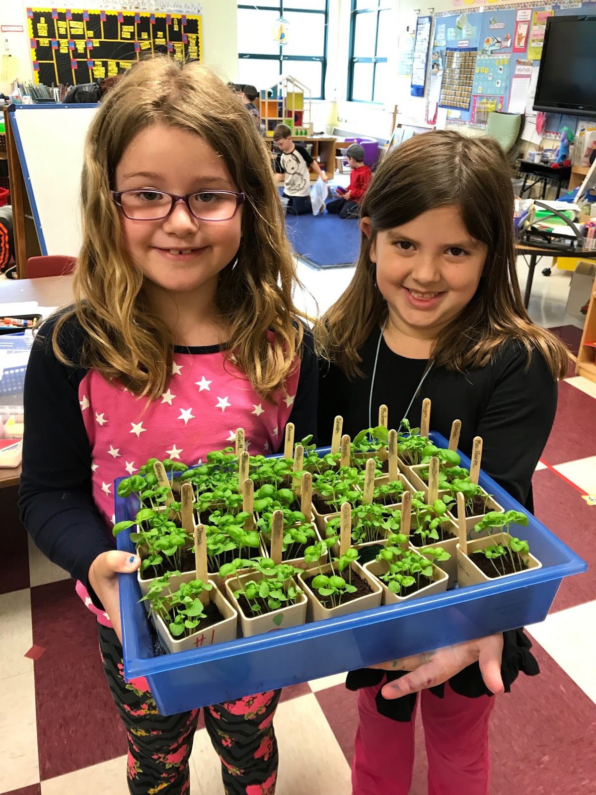 Mrs. Harte's Kindergarten Blog: Planting Fun