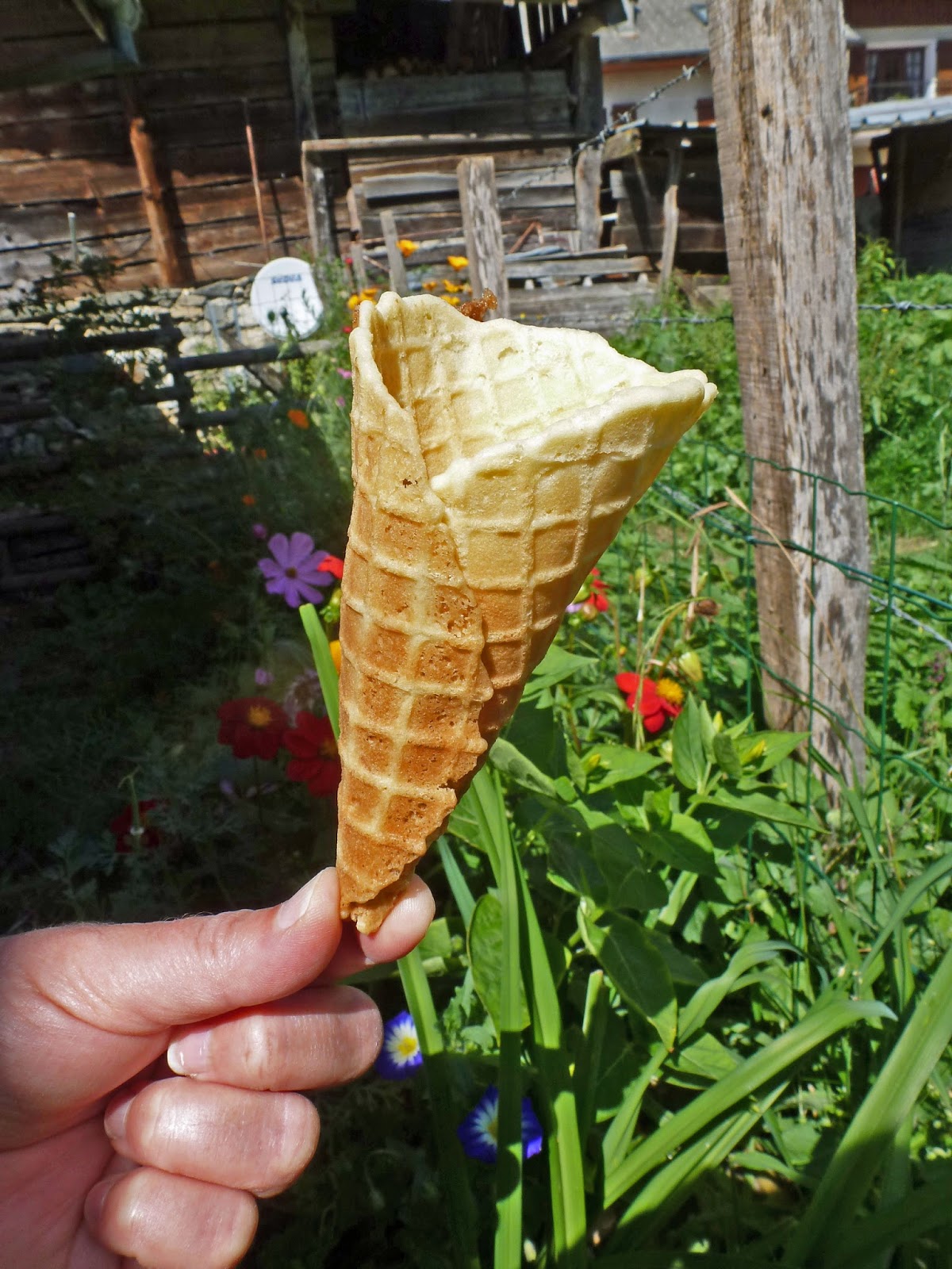 La Toile à Nolwenn: Corne et Cornets