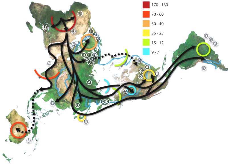 Obama – Luo: ‘On the Origin of Species’ | Sir David Ochieng' the Great