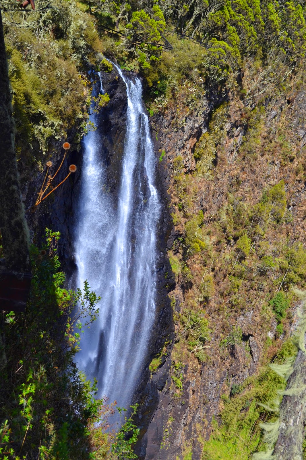 It's Wamũyũ.: Karuru Falls - Aberdare National Park (07-02-2015)