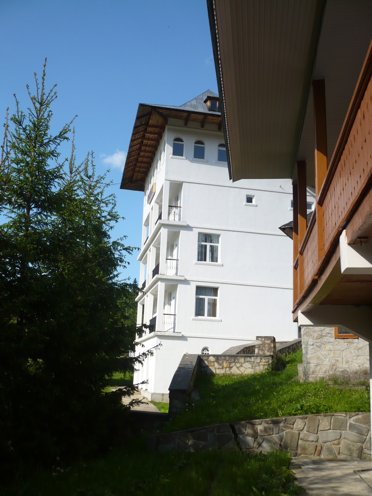 Copacul Vietii - Tree of Life: Manastirea Durau, Neamt