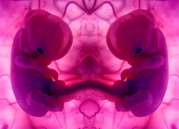 DEUS E A CLONAGEM HUMANA - GOD AND HUMAN CLONING ~ JESUS ENSINAMENTO