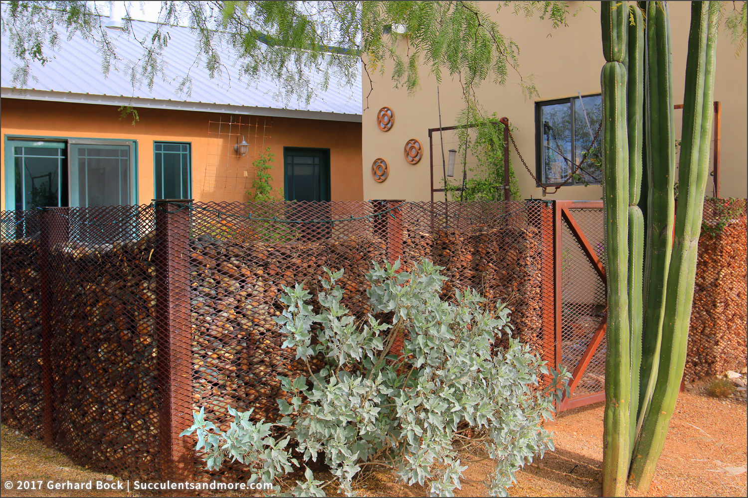 Tucson's Civano community: where I'd love to live