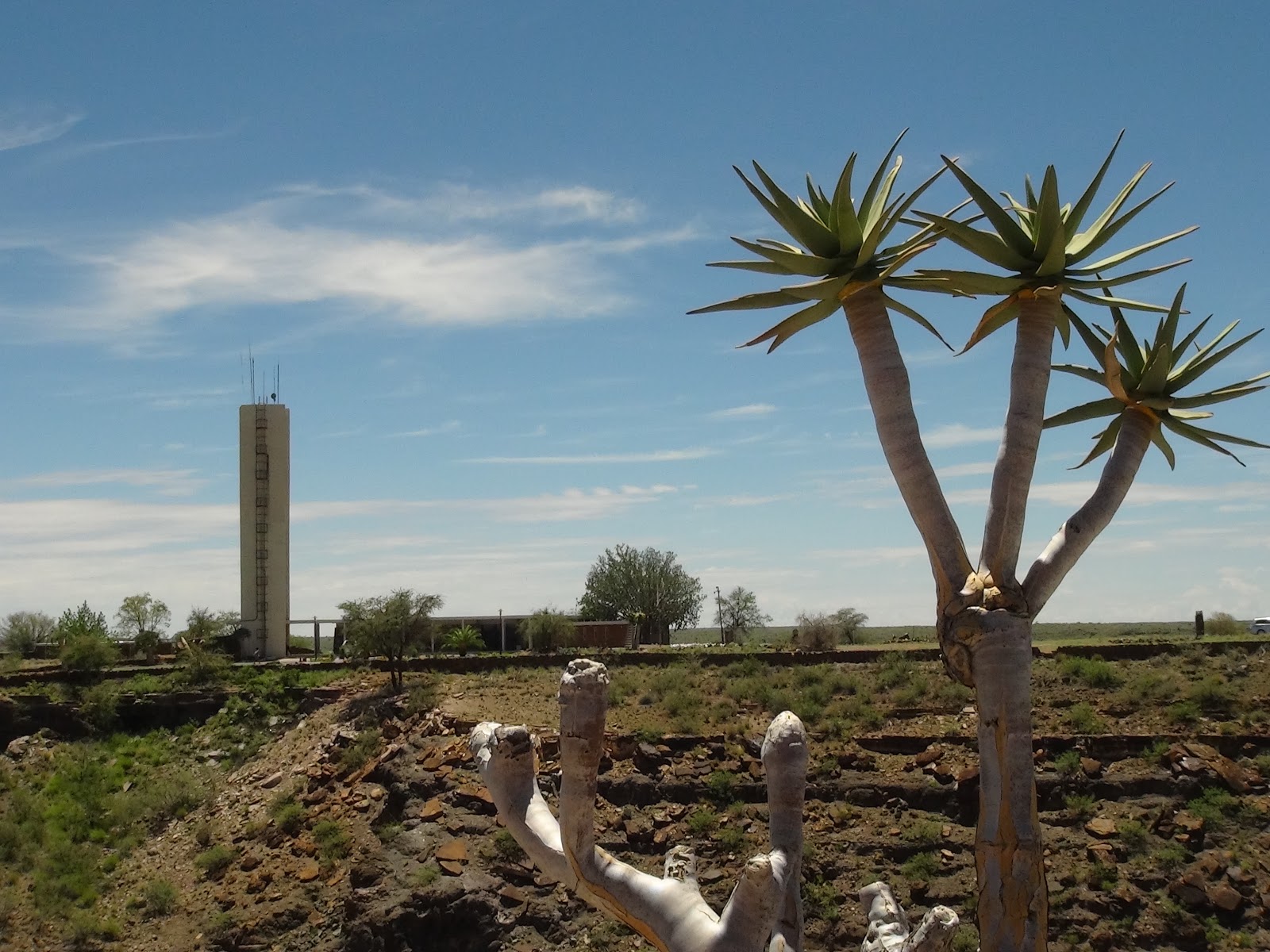 News from Southern Africa & Namibia: Namibia: Hardap Resort after ...