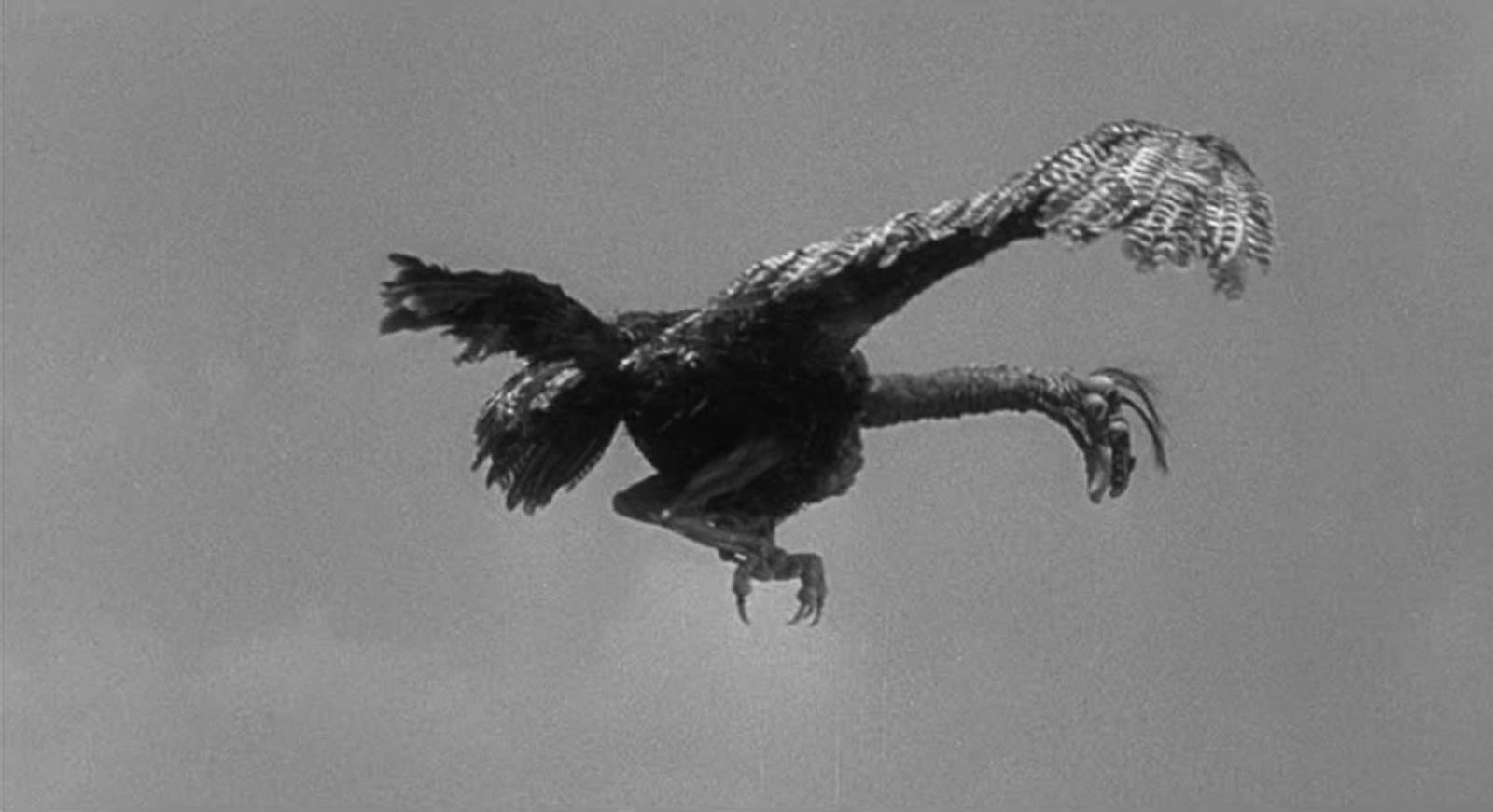 The Blog Where Horror Dwells: Happy Monster Turkey Day
