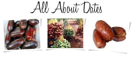 The Earth of India: All About Dates in India