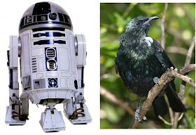 geek with curves: The bird that sounds like R2-D2