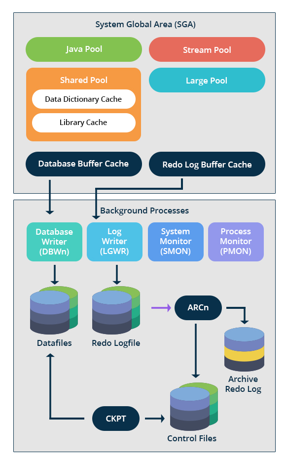 Module 1 Oracle Physical Database Architecture Basic Oracle Physical Architecture