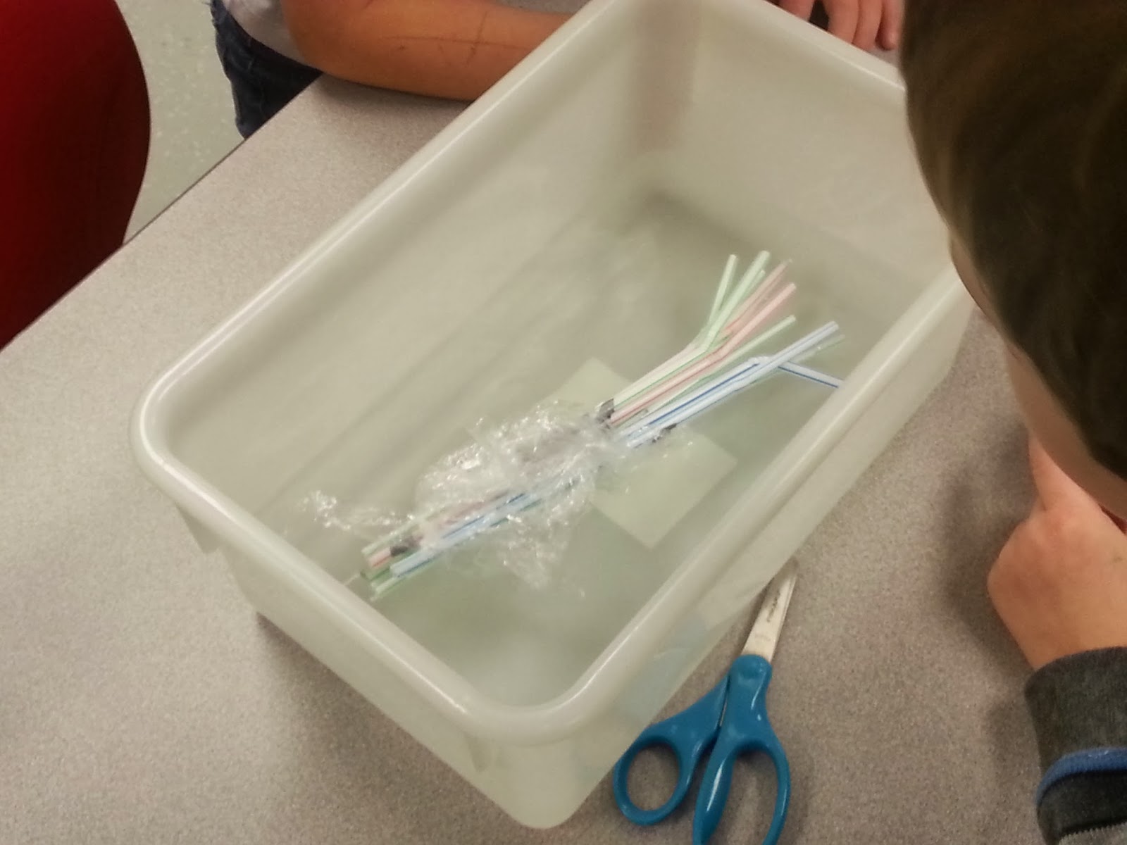 STEM Lab- Making a Boat Experiment - Elementary Nest