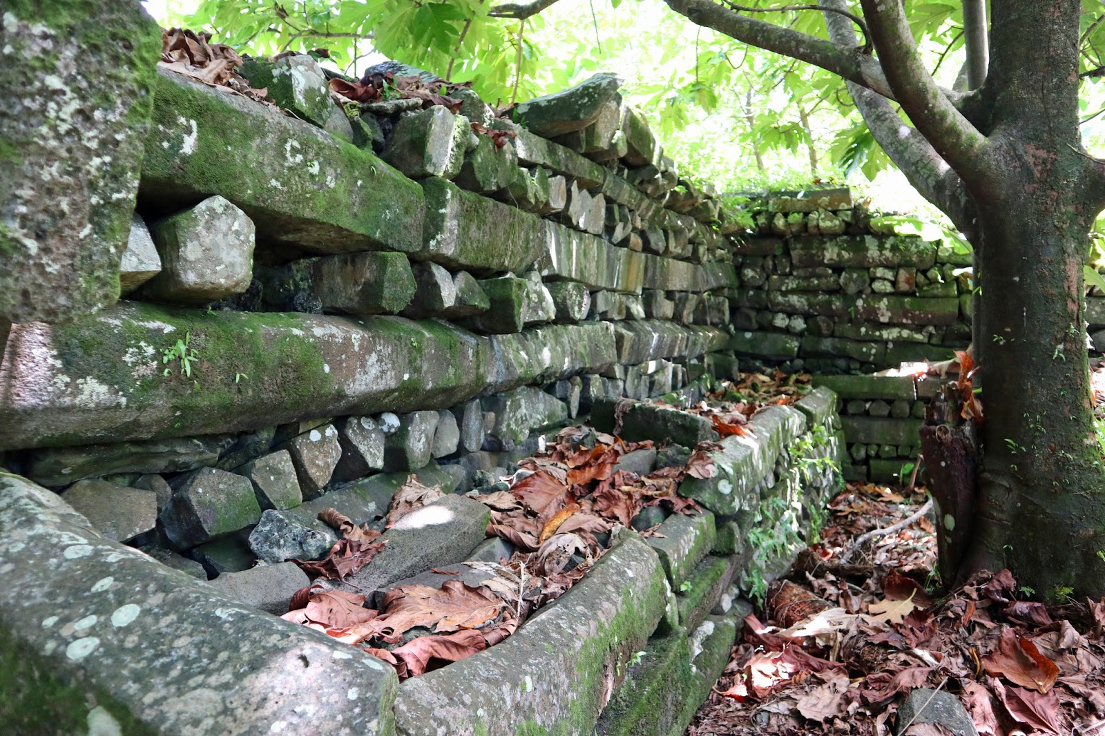 To Travel is to Live: Pohnpei