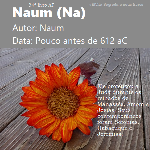 Bíblia Sagrada e seus livros: NAUM - Autor e Data (Na)
