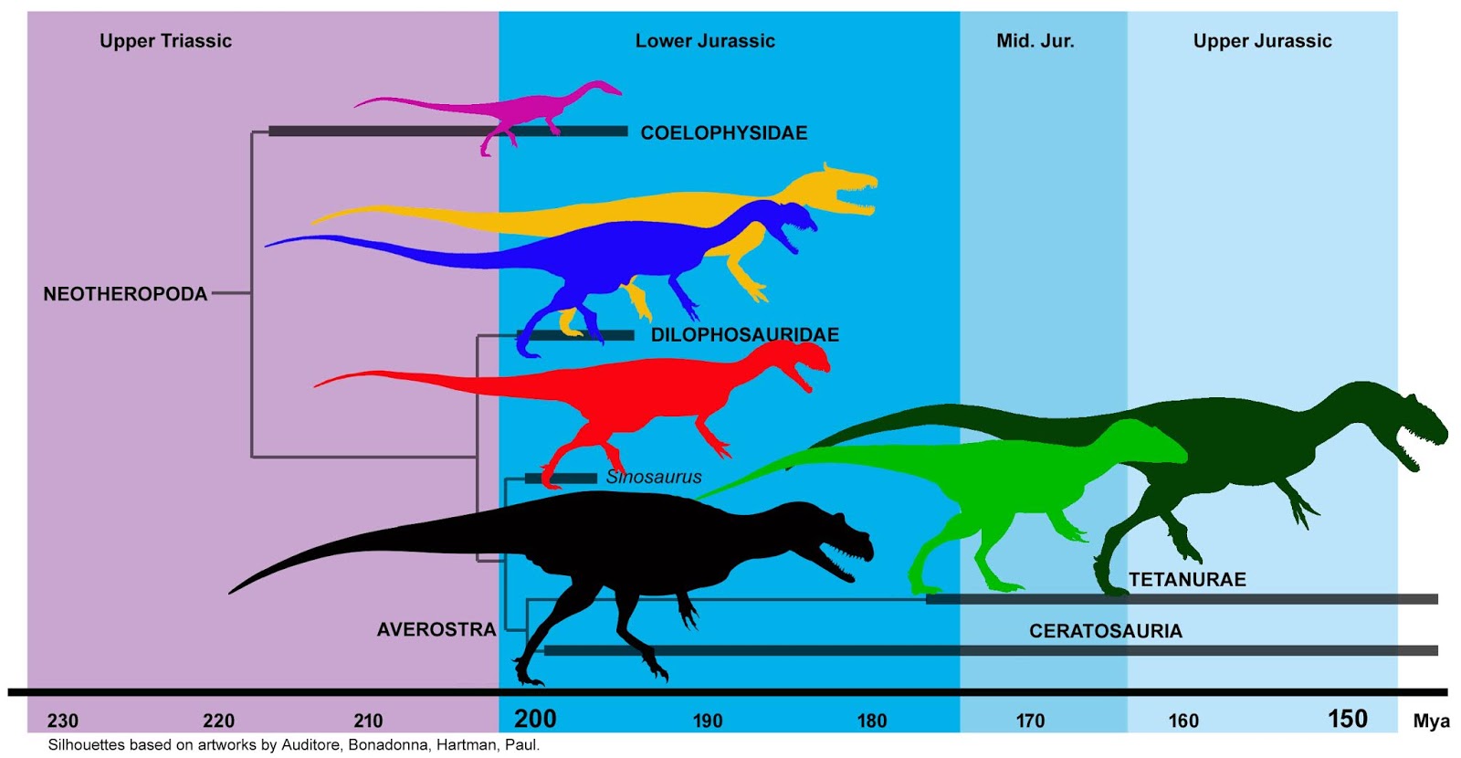 Theropoda: Il theropode di Saltrio – Terza parte