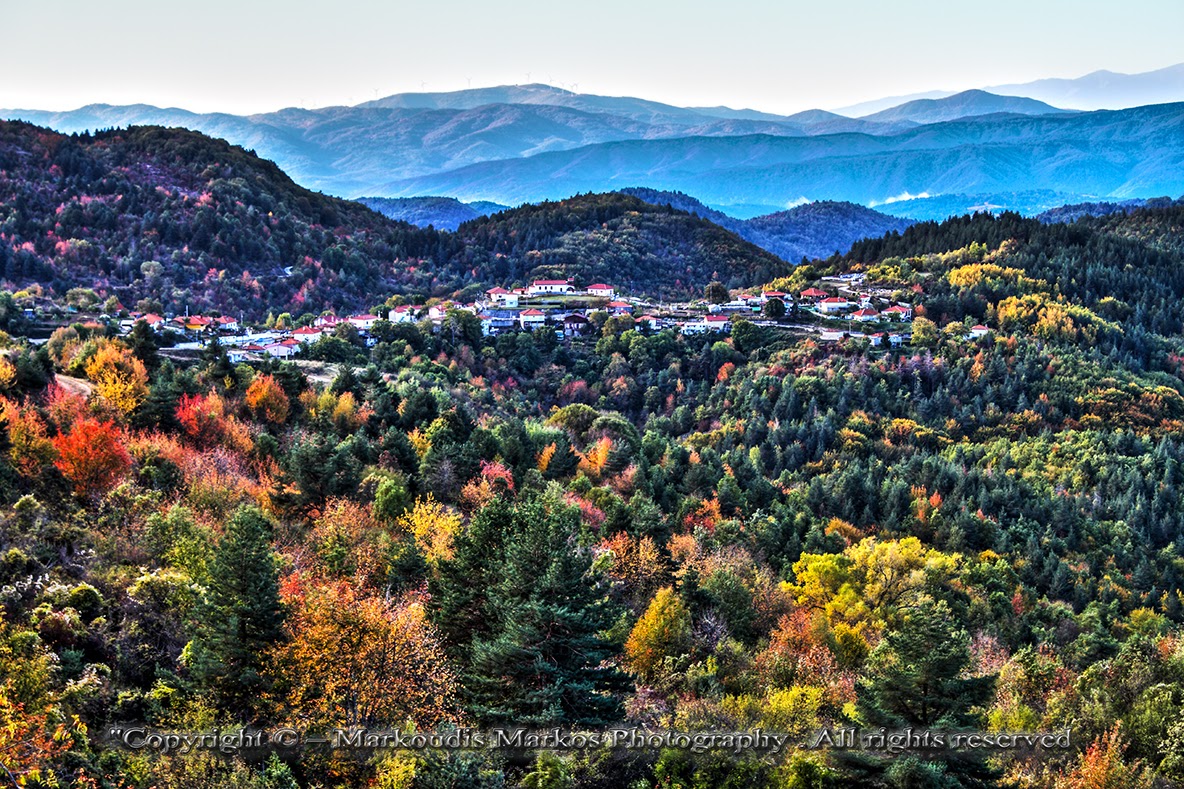 Hellas photography: Rodopi Mountain Range National Park (forest Elatia)