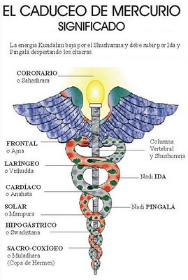 El Caduceo De Esculapio Perugia