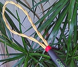 Heart and Soul: Loopy Cane