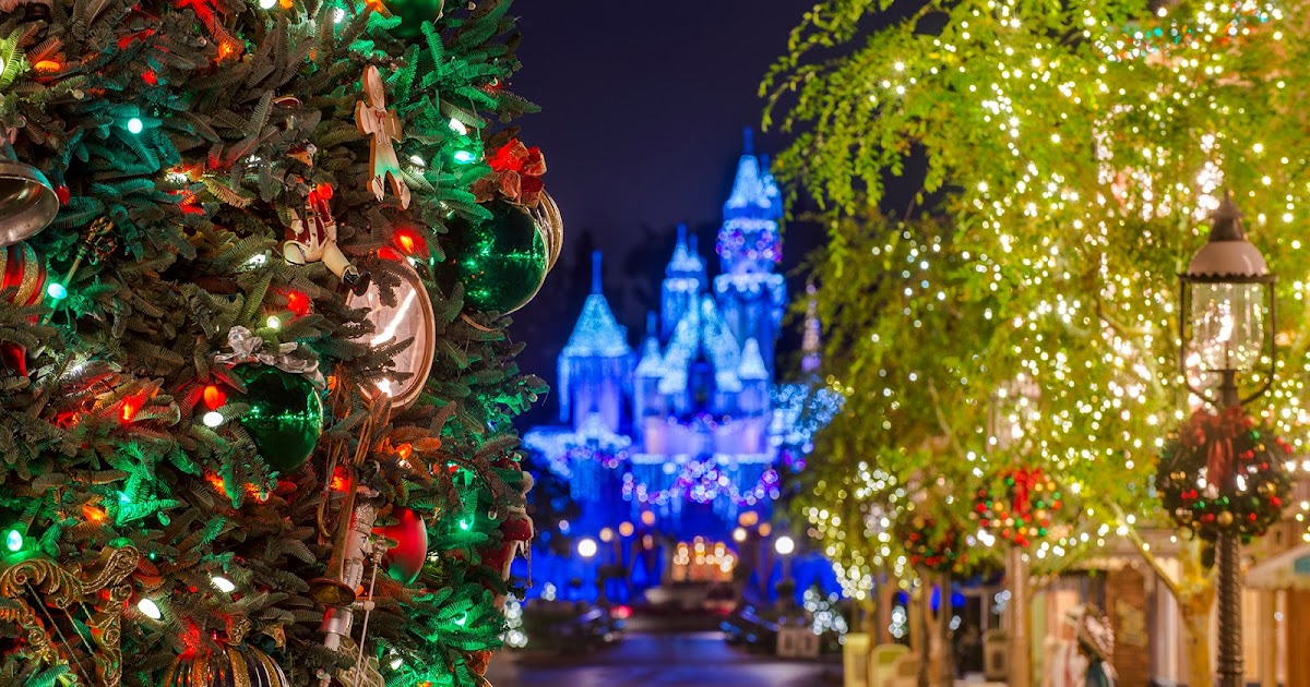 Disney Photoblography