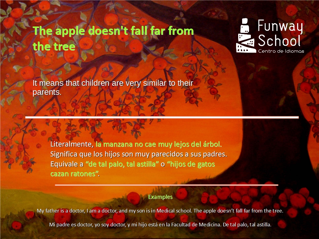 Estantes en el aula: Idioms (X): "The apple doesn't fall far from the tree"