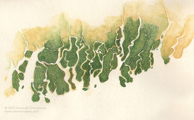 Realm of the Seadragon: Mapping the Sundarbans (would drive a ...