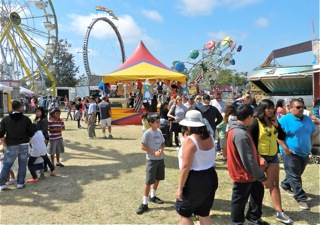 A BUBBLING CAULDRON: Fish Fry - Fantastic!