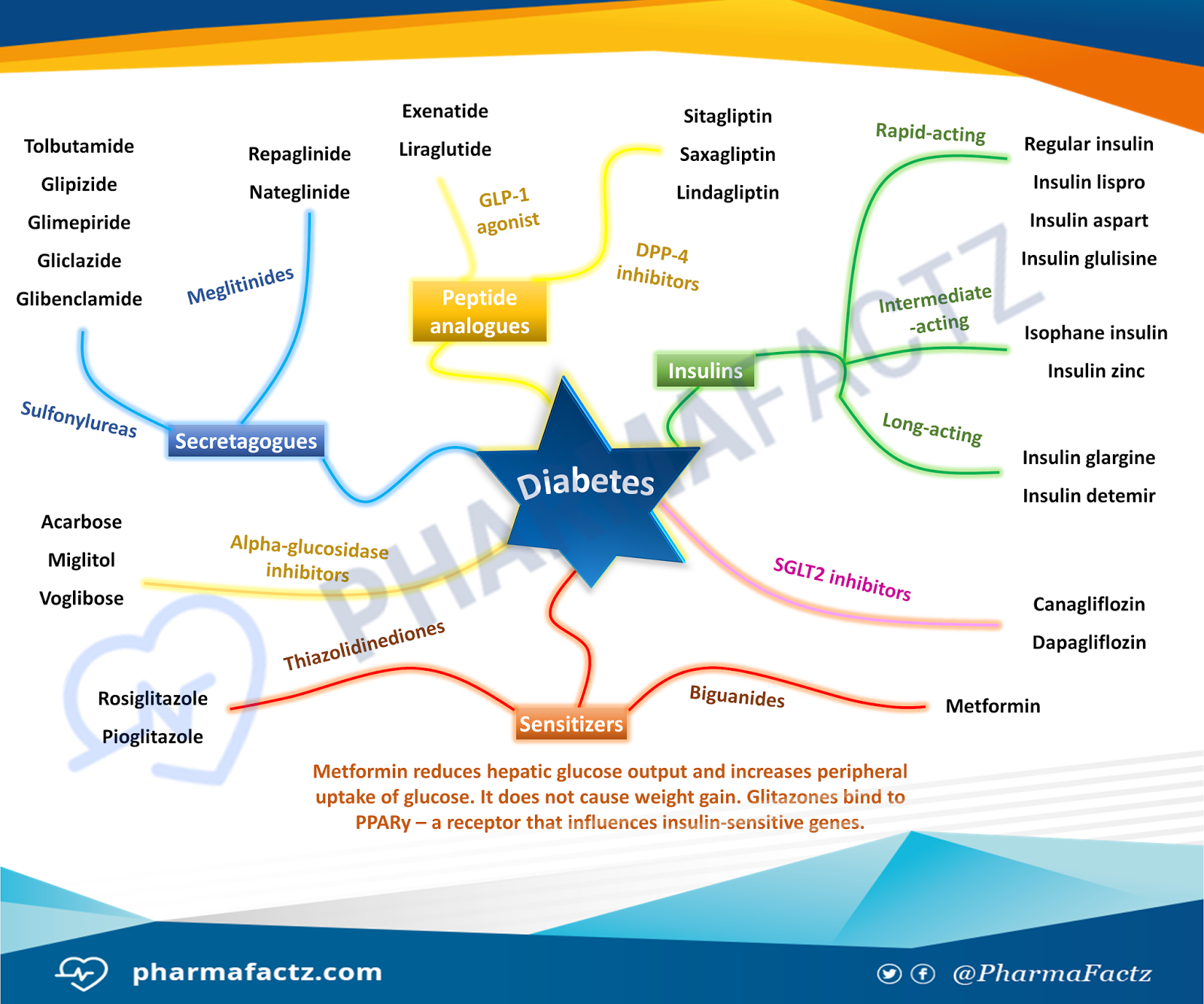 Cơ chế các nhóm thuốc điều trị Đái Tháo Đường. - BiophaVN - Chia Sẻ Tài ...