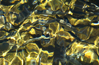 Red Rock Adventures: Jones Hole Creek