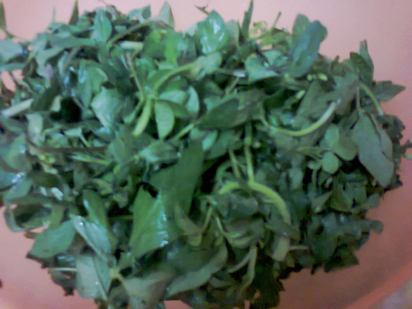 Warna Warni: Cara Mudah Buat Jeruk Maman