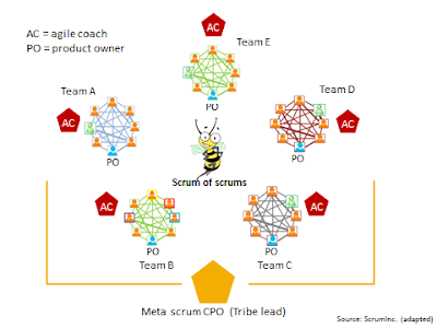 CasCas - leren en veranderen op het werk: Agile Tribe leader is the ...