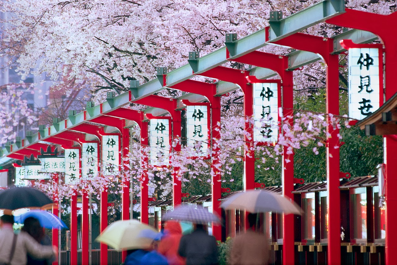 Know Japan before you Visit the Country | Japanese Life Styles