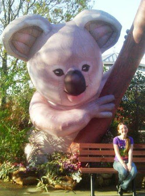 Texas Kirkwoods: Dallas Zoo - Koala Marsupials NOT Koala Bears!