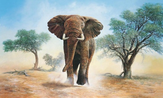 AFRIŠKE ŽIVALI: AFRIŠKI SLON (Loksodonta)