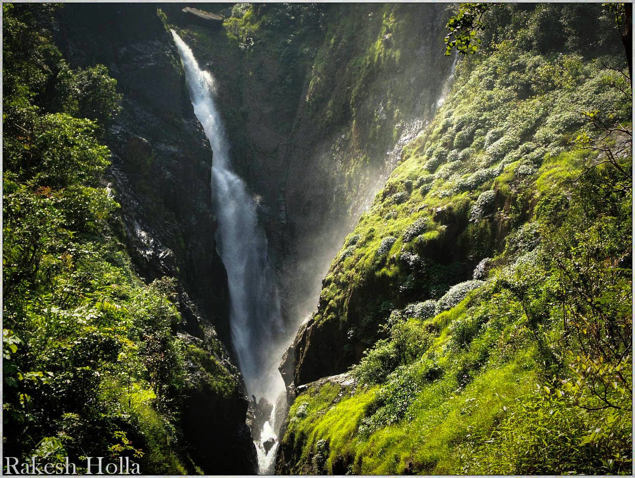 The Voice of Greenery - Trekking and Travelling in Western Ghats ...