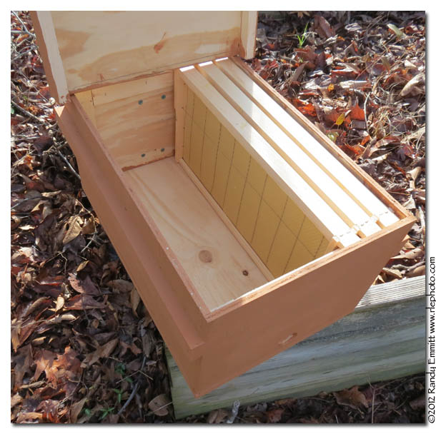 Randy & Meg's Garden Paradise: Swarm Traps and Nuk