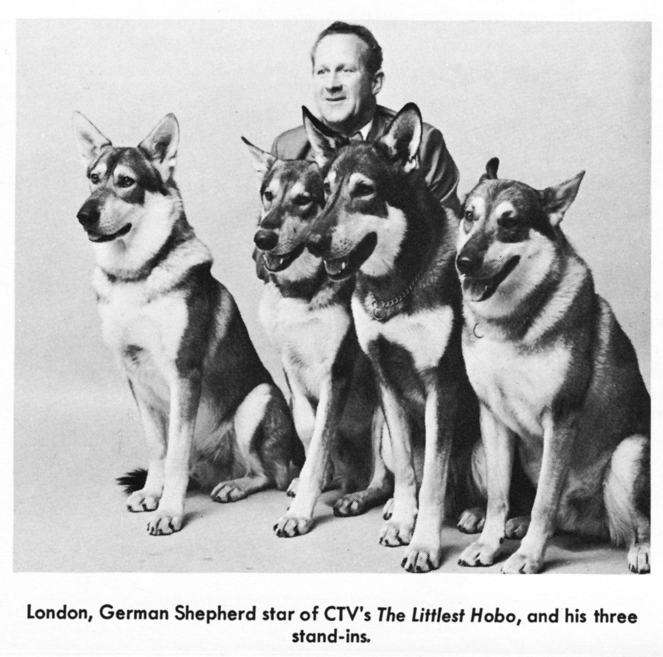 Progress is fine, but it's gone on for too long.: The dog days of London