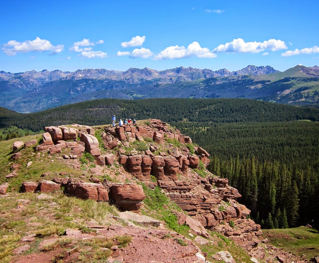Beth Groundwater: Shrine Pass - A Wildflower Wonder