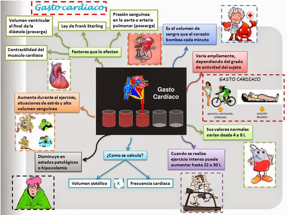 Blog de Fisiología Básica de Rogelio Eduardo Enriquez Lopez : Gasto ...