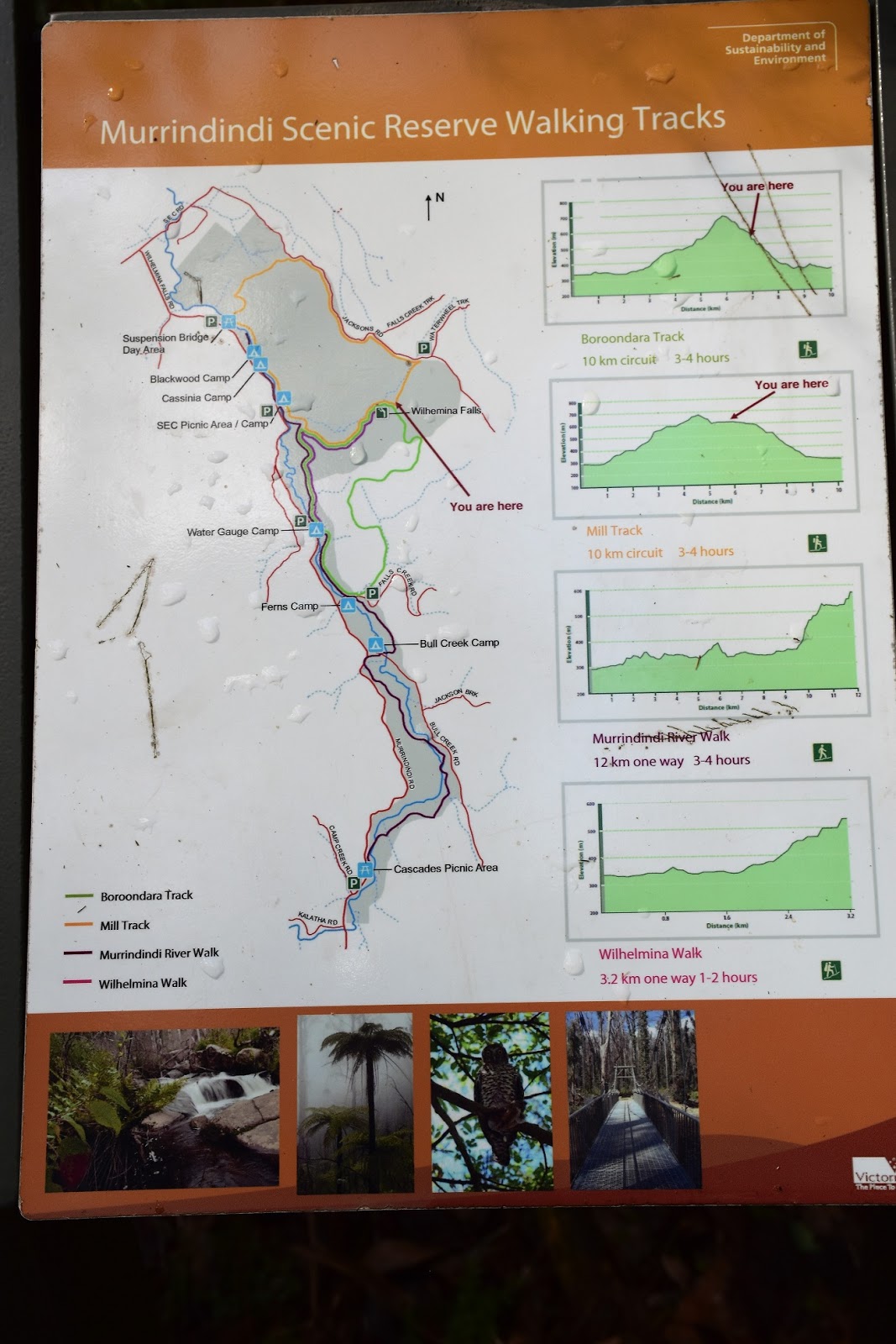 Goin' Feral One Day At A Time: Wilhelmina Falls, Murrindindi Scenic ...