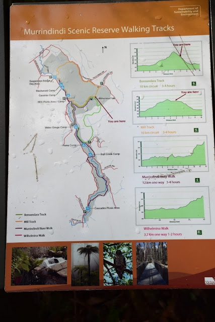 Goin' Feral One Day At A Time: Wilhelmina Falls, Murrindindi Scenic ...