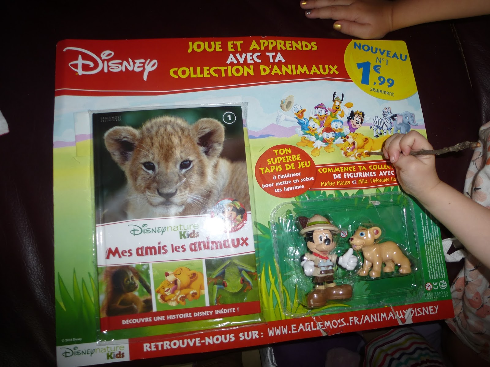 Anaïs et sa petite vie...: Nouveauté : La collection Mes amis les ...