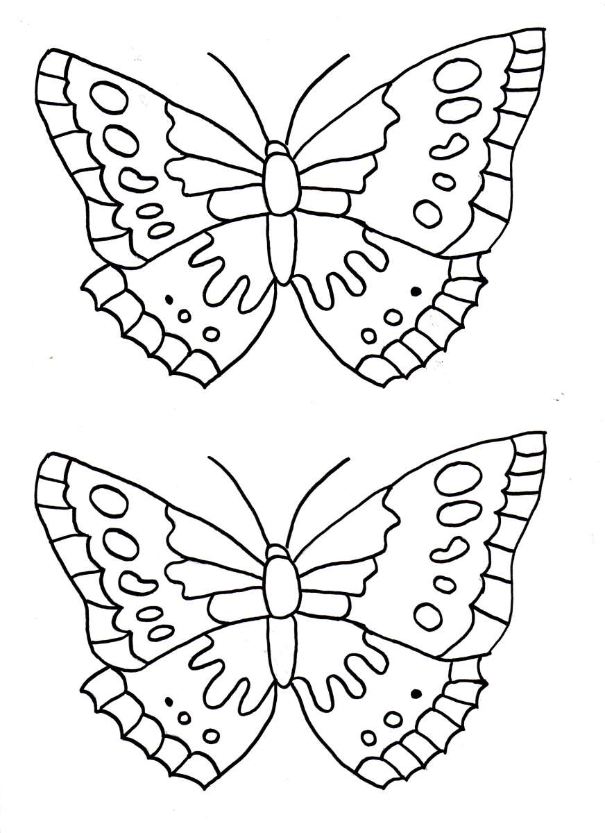 Mariposas para calcar - Imagui