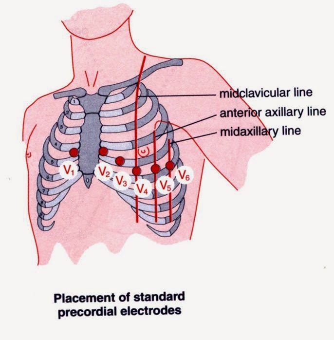 (PDF) LAPORAN PRAKTEK KERJA LAPANGAN RUMAH SAKIT · PDF fileTujuan ...