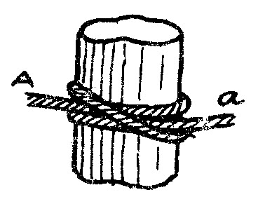 Tali temali : Simpul Erat, Simpul Kembar, Simpul Kursi, Simpul Pangkal ...