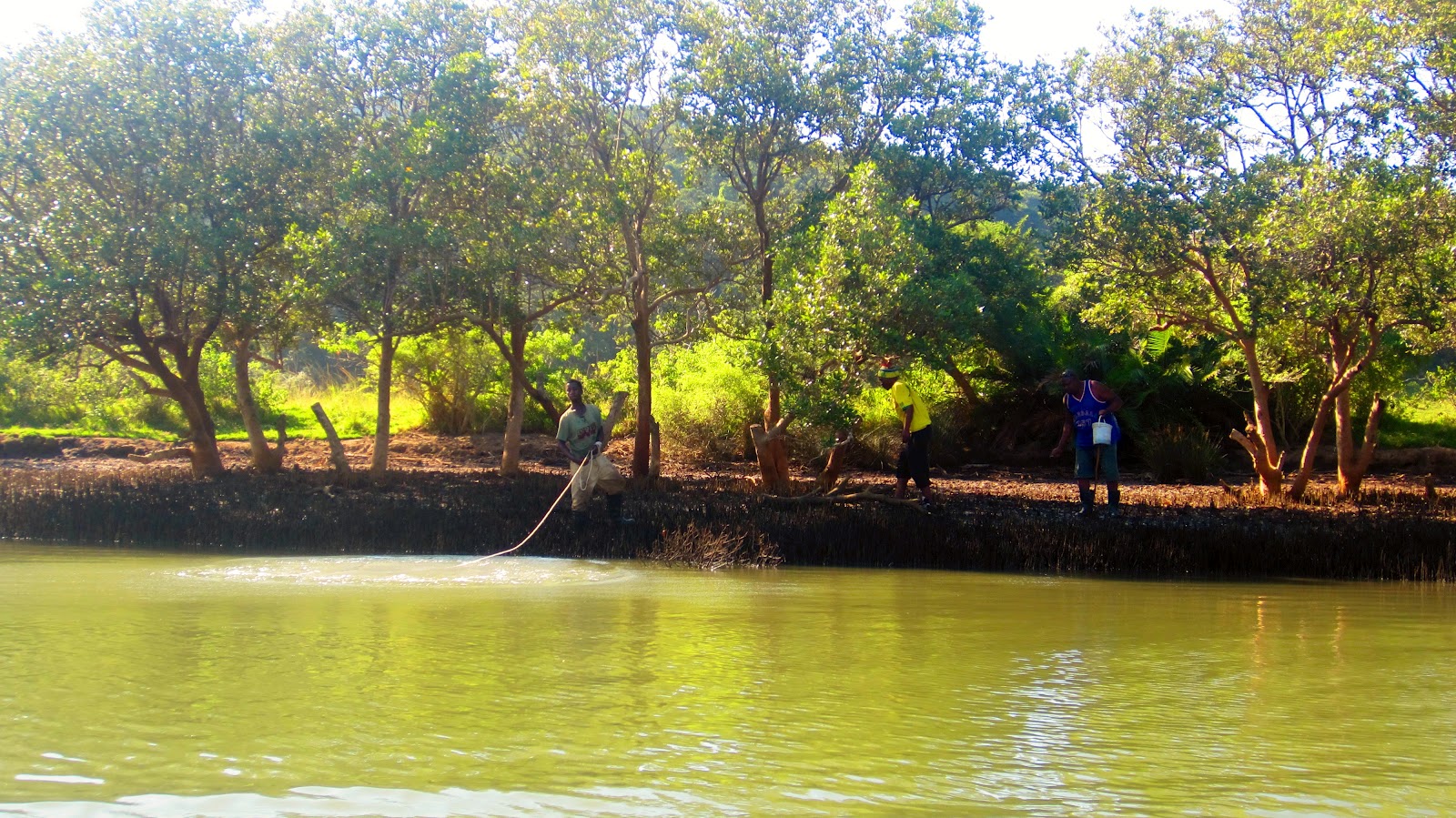 Temporary Nomad: The Magical Wilderness of Bulungula!