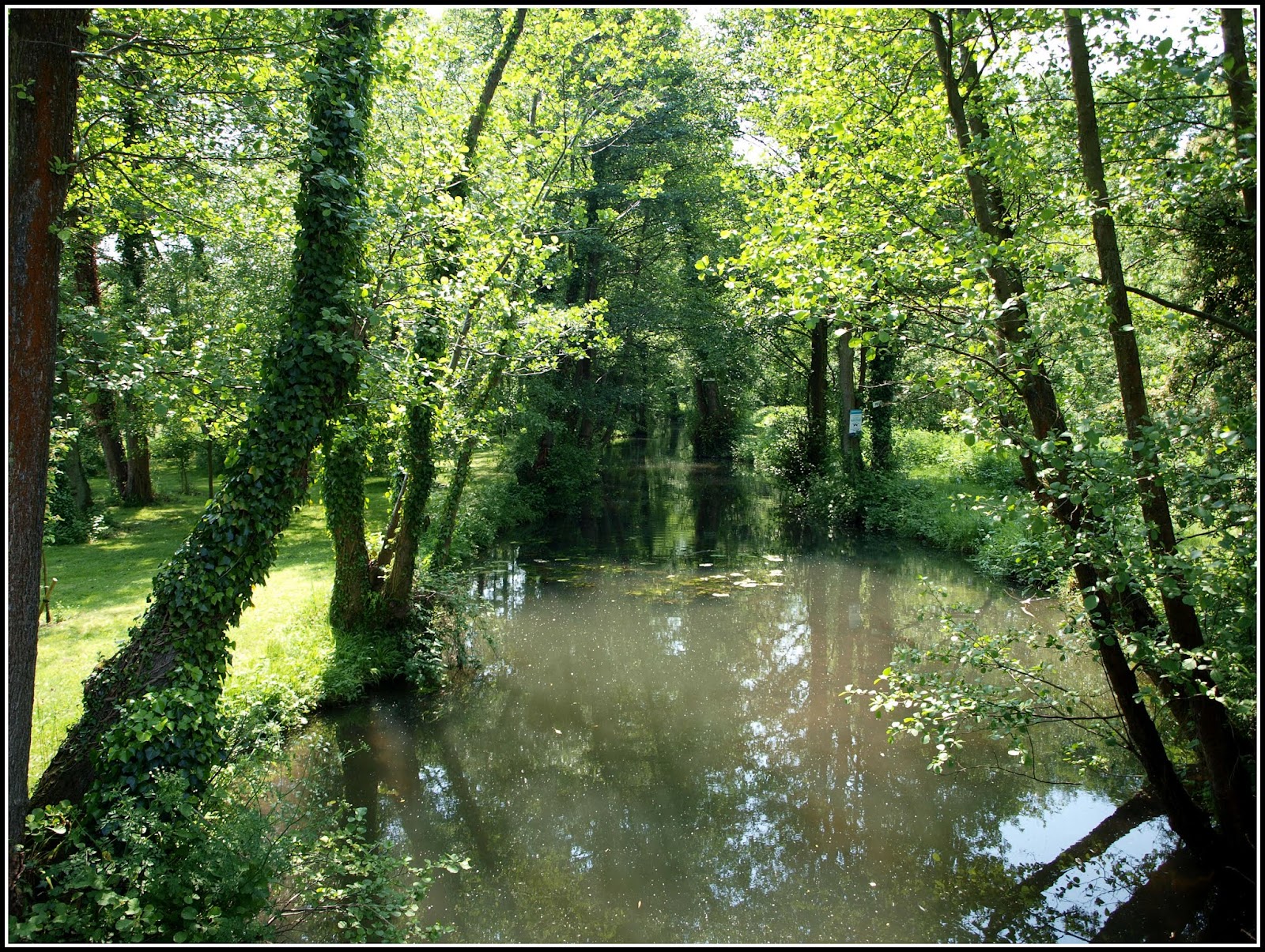 Mark's Veg Plot: Dipley Mill