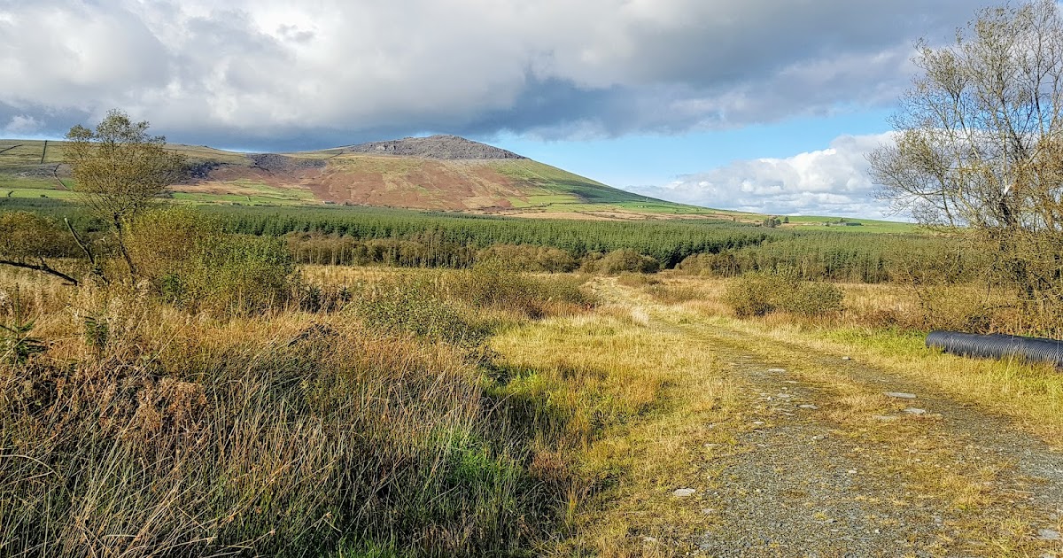 Tali's Tails: Bwlch Derwin