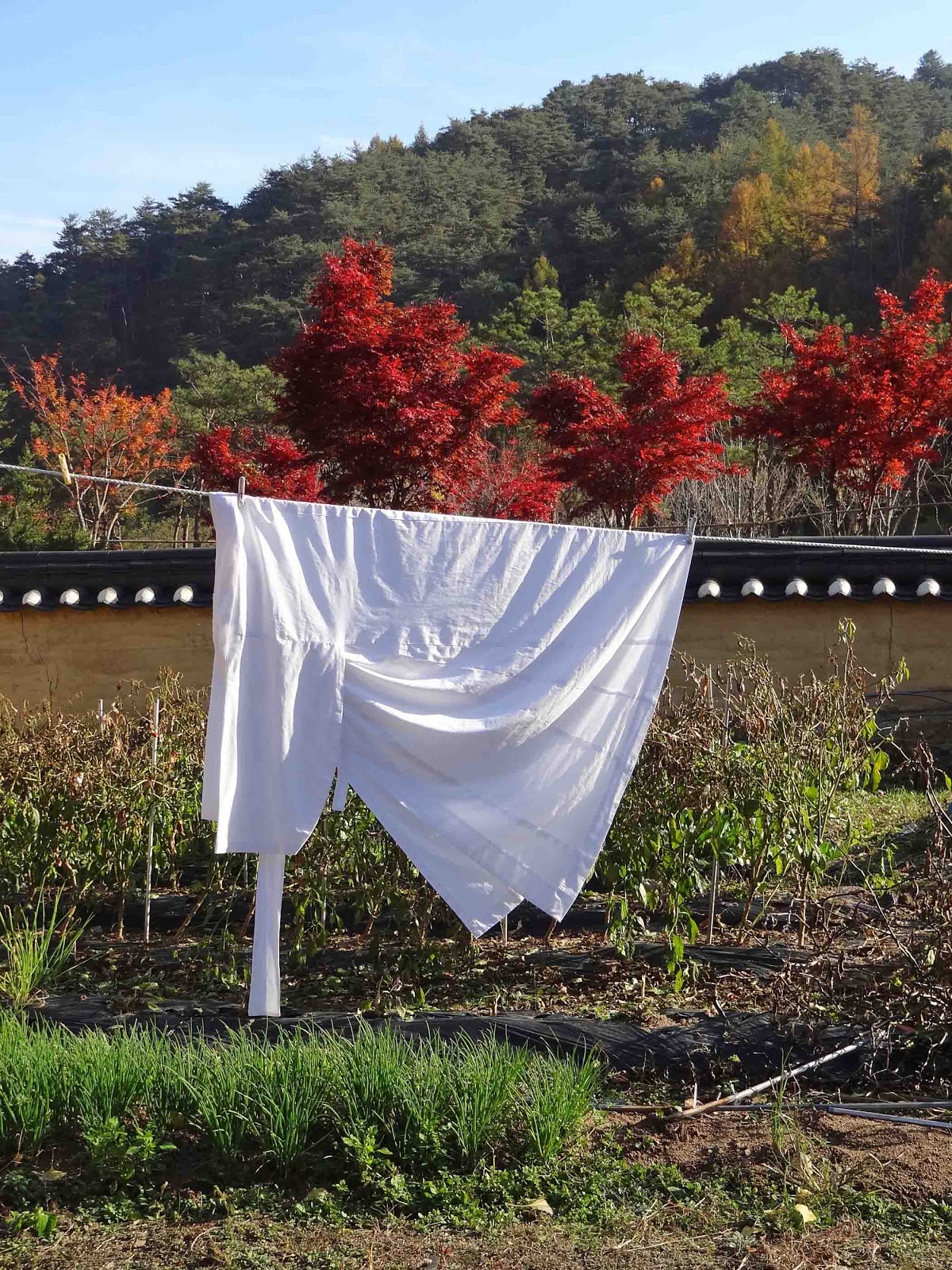 Geographically Yours: Andong, South Korea